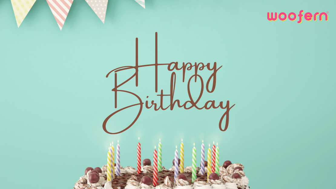 Discover the art of planning a memorable birthday party for introverts ...